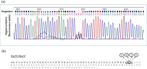 A Dna Sequencing Chromatogram Obtained From Saturation Mutagenesis Download Scientific