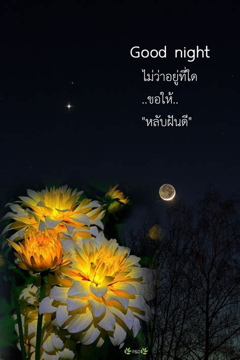 หลับฝันดี😴 ทิวทัศน์ ฝันดีราตรีสวัสดิ์ ราตรีสวัสดิ์