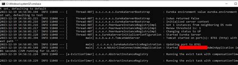 How To Solve Netflix Eureka Client Error In Spring Boot 3 2 0 And Java