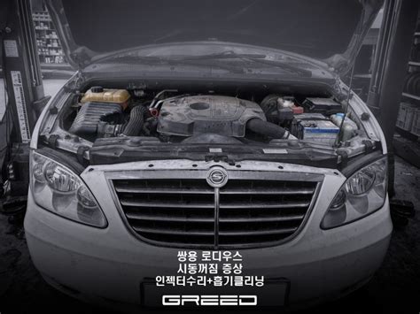 쌍용 로디우스 시동꺼짐 및 엔진 불안정 증상 인젝터수리 흡기클리닝 천안 세종 그리드 네이버 블로그