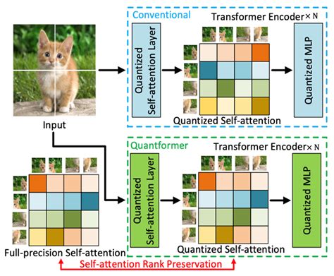 Publication Pine Lab