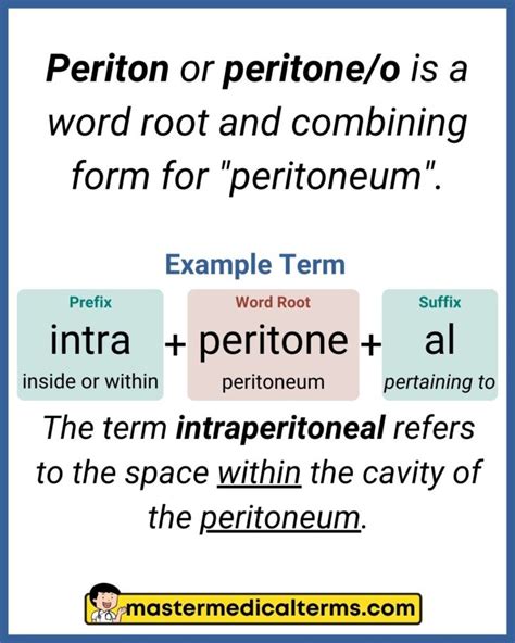 Periton Peritoneo Master Medical Terms