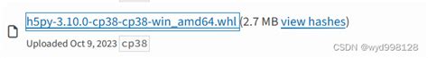 解决报错importerror Dll Load Failed While Importing Defs 找不到指定的程序。 Csdn博客