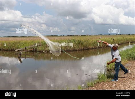 Throwing Cast Net Stock Photo Alamy