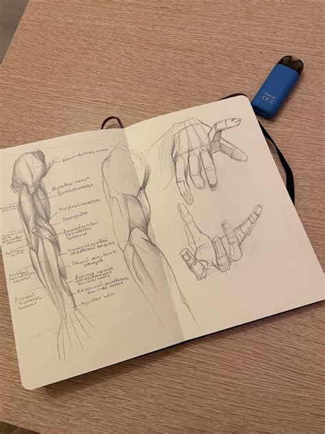 Рука анатомия Эскиз Анатомия руки Анатомия