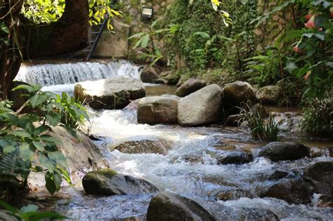 เฮือนอ้ายอู๊ด เฮือนอ้ายอู๊ด บ้านพักแม่กำปอง เชียงใหม่