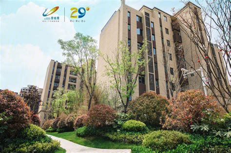 南阳南召碧桂园 实景图36 南阳安居客