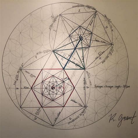 The Tree Of Life Geometry