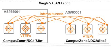 evpn vxlan multi fabric solution overview