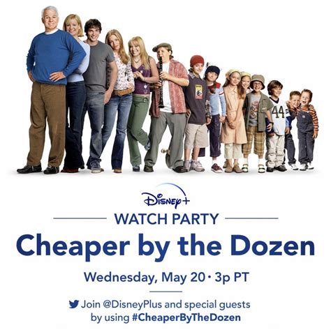 Cheaper By The Dozen 3 Release Date