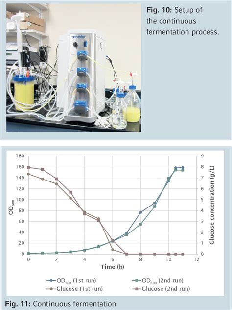 Figure 12 From A Beginners Guide To Bioprocess Modes Batch Fed