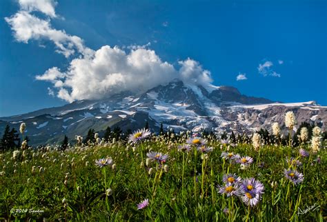 Mount Rainier National Park Washington United States Sunrise Sunset Times