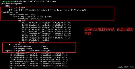 nginx实现自签名ssl证书生成与配置 nginx 自签名证书 csdn博客