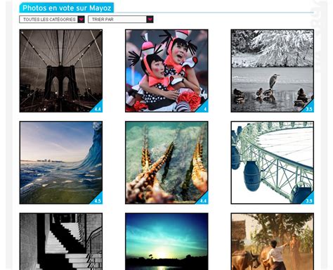 Is The The Bait Bus Real Is The The Bait Bus Real