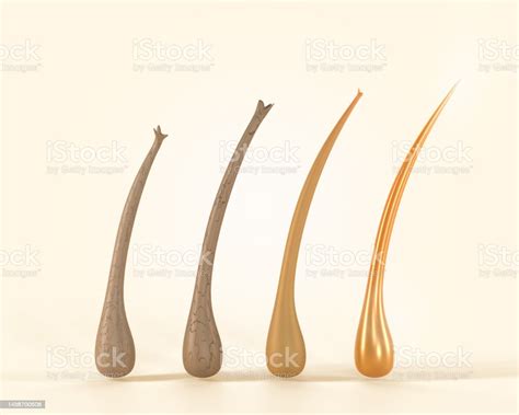 모발 관리 치료 및 수리 손상된 구조와 갈라진 끝이 있는 모낭 베이지색 배경 3d 렌더링 아이콘 세트에 건강합니다 각질이 있는 화장품 샴푸 모형 배너 각질층에 대한 스톡