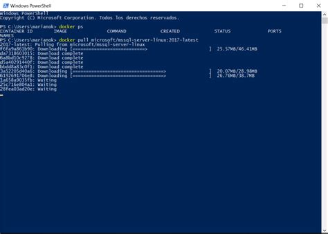 Sql Server And Containers Mariano Kovo
