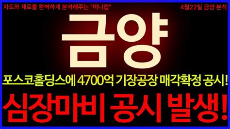 🔵 금양 9시 Kbs특보 부산 기장공장 포스코홀딩스에 4700억 매각 확정 공시 저녁에 갑자기 터졋다 압수수색 후 급매각 진행 금양목표가 금양주식전망 금양대응