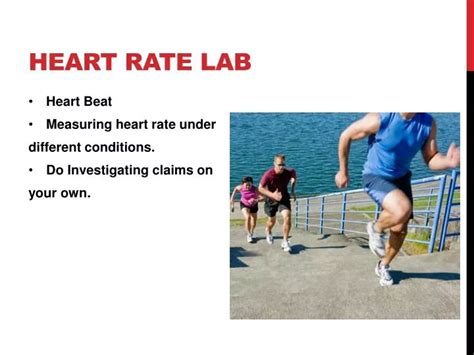 PPT Heart Rate Lab PowerPoint Presentation Free Download ID 2338355