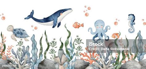 바다 자갈 문어 고래 해마 거북이 및 해초 조류의 원활한 경계 손으로 그린 수채화 그림입니다 마린 트로피컬 컬렉션 기념품 포스터