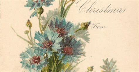 Set Christmas Religious Scenes Klein Tuckdb Postcards