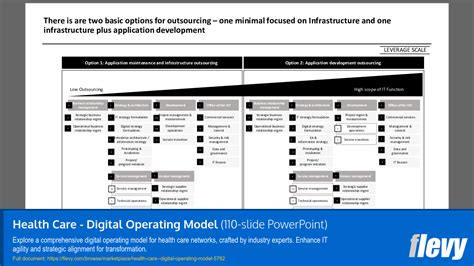 Outsourcing Strategies Infrastructure Vs Application Development Ppt