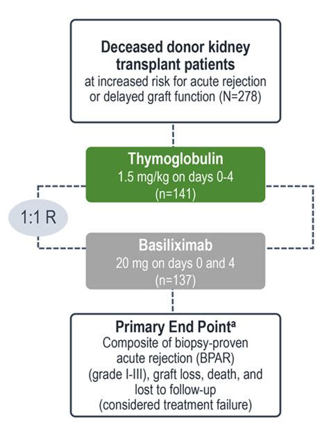 Thymoglobulin® Efficacy And Safety Thymoglobulin® [anti Thymocyte Globulin Rabbit ]