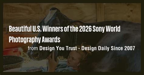 Beautiful Us Winners Of The 2026 Sony World Photography Awards Briefly
