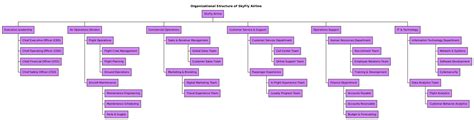 Ai Organization Chart Example Skyfly Airline Organizational Structure