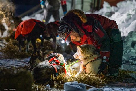 Photo Iditarod