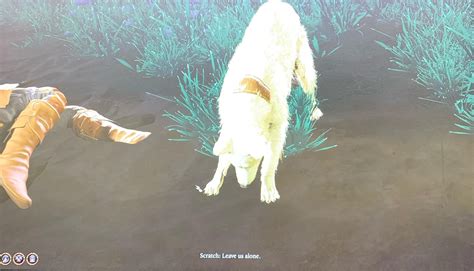 Scratch Acting Like Stranger In Underdark Rbaldursgate3