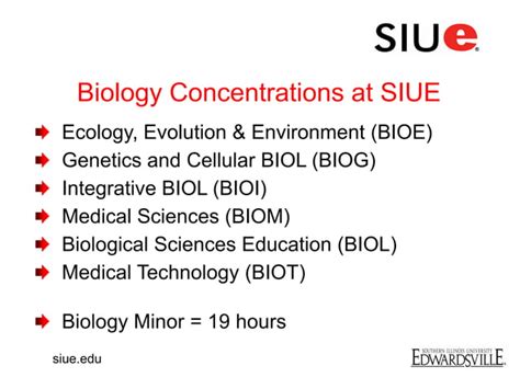 Natural Sciences And Mathematics Pptx