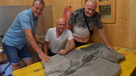 243 Millionen Jahre Alt Spektakulärer Saurier Fund Im Kärntner Gitschtal