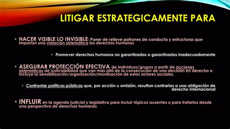 Litigio Estrategico En Derechos Humanos Y Derechos De Las Personas