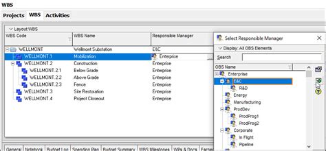 P6 Professional System Administration And User Privileges