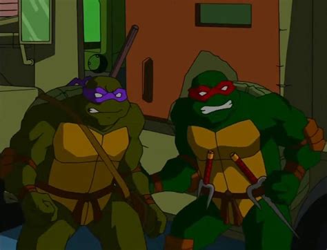 Tmnt 2003 Raph And Donnie 2 By Hedwieapotter On Deviantart