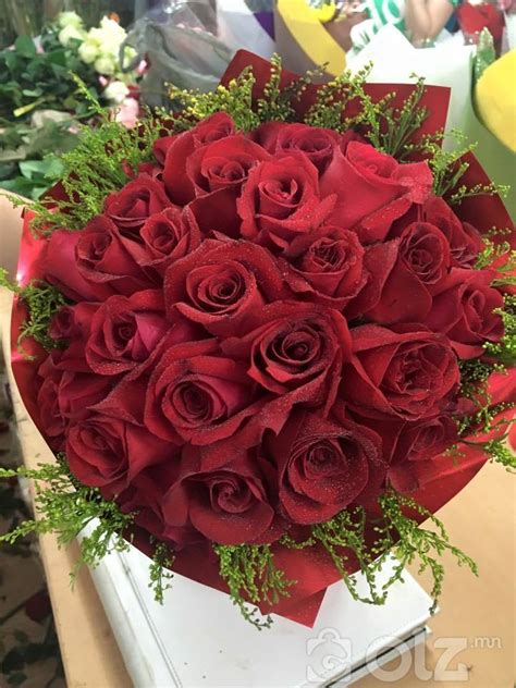 Сарнайн баглаа Sarnain Baglaa