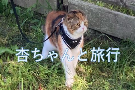 GoodyPress