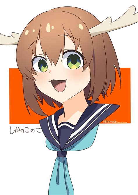 Nokotan Kameda R Nokotan