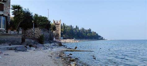 daniel paiva on linkedin generating typescript interfaces from swagger