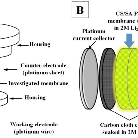 Schematic Illustration Of A The Ionic Conductivity Measuring System