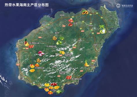 海南水果分布 常见 盛产 大山谷图库
