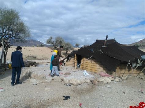 عملیات ضدعفونی سیاه چادر‌های عشایر کرمان تصاویر