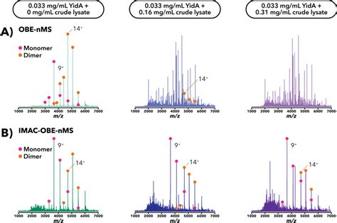 Buffer For Protein A Chromatography At Jessica Zelman Blog
