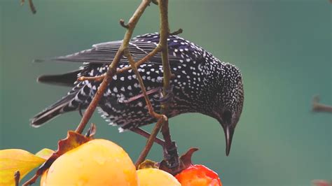 Seabin™ On Linkedin Our Next Chapter Of Seabin Is Nature Repair™ A Dynamic Model Designed To…