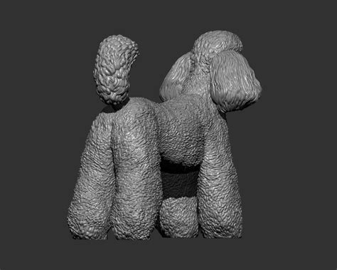 🐩 Toy Poodle 3d Print Model・Бесплатный Stl для ・cults