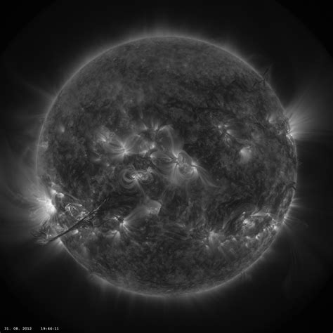 Nafe Image Analyzer By Miloslav Druckmuller