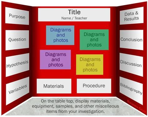Science Project Board Layout Examples