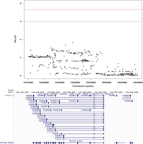 Significant Snp Wise P Values Overlap With The Entire Pcdha Cluster
