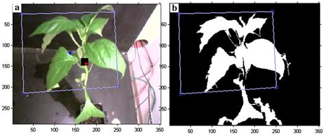 Initial Position And Orientation As Seen From The Rgb Camera