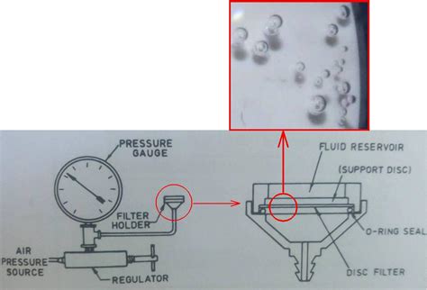 Bubble Point Test Filter At David Laramie Blog